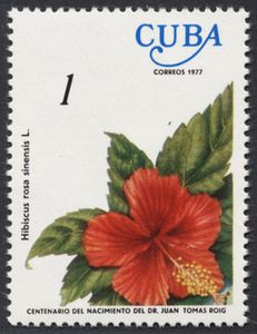 Stamp: Hibiscus rosa-sinensis (Cuba(Flowers) Mi:CU 2217,Sn:CU 2140,Yt ...
