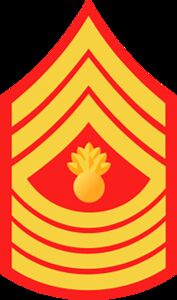 Decoration: Master Gunnery Sergeant (United States of America(U.S ...