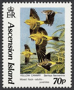 Stamp: Yellow Canary (Serinus flaviventris) Flock of Birds flying ...