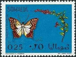 Stamp: Butterfly (Nivprale vevanes) (Somalia(Butterflies (1970)) Mi:SO ...