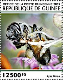 Stamp: Apis florea (Guinea(Bees (2019:2)) Mi:GN 14097