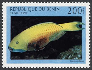 Stamp: Heavyback Parrotfish (Scarus gibbus) (Benin(Fishes 1997) Mi:BJ ...