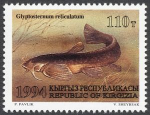 Stamp: Catfish (Glyptosternum reticulatum) (Kyrgyzstan(Fish (1994)) Mi ...