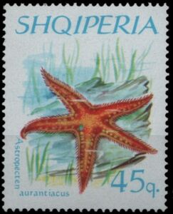 Stamp: Red Comb Star (Astropecten aranciacus) (Albania(Echinoderms) Mi ...