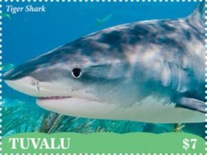 Stamp: Tiger Shark (Tuvalu(Tiger Shark (2021)) Mi:TV 2790 📮