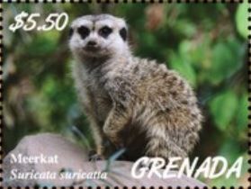 Stamp: Meerkat (Suricata suricatta) (Grenada) (Meerkat (2021)) Col:GD ...