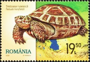 Stamp: Russian Tortoise (Testudo horsfieldii) (Romania(Turtles and ...