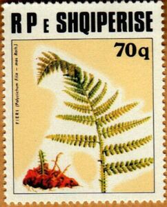 Stamp: Fern (Polistichum filix mas) (Albania(Medicinal Plants) Mi:AL ...
