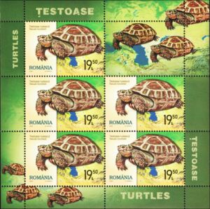 Stamp: Russian Tortoise (Testudo horsfieldii) (Romania(Turtles and ...