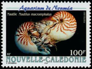 Stamp: Bellybutton Nautilus (Nautilus macromphalus) (New Caledonia ...