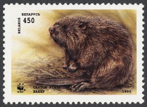 Stamp: European Beaver (Castor fiber) (Belarus(WWF - Global ...