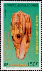 Stamp: Geographer Cone (Conus geographus) (New CaledoniaMi:NC 1387,Sn ...