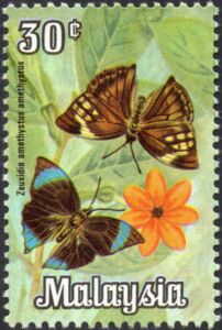 Stamp: Common Saturn (Zeuxidia amethystus) (Malaysia(Butterflies of ...