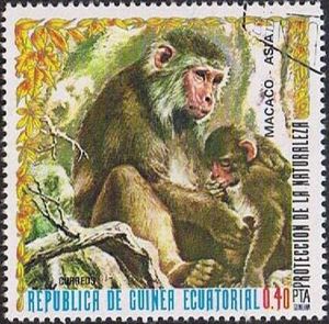 Stamp: Macaque sp. (Macaca sp.) (Equatorial Guinea(Asian Animals) Mi:GQ ...