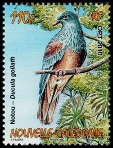 Stamp: New Caledonian Imperial-pigeon (Ducula goliath) (New Caledonia ...