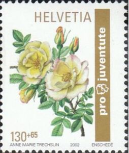Stamp: Rose "Frühlingsgold" (Switzerland(Pro Juventute: Christmas Rose ...