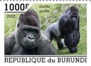 Stamp: Western Gorilla (Gorilla gorilla) (Burundi) (Gorillas (2022 ...