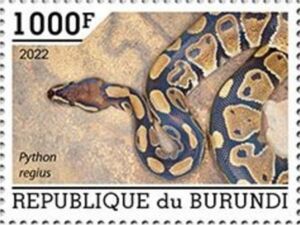 Stamp: Ball Python (Python regius) (Burundi(Snakes (2022)) Yt:BI 2609