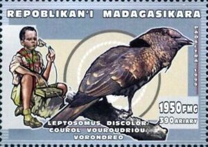 Stamp: Cuckoo-roller (Leptosomus discolor) (Madagascar(Scouts and ...