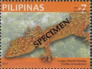 Stamp: Luzon Karst Gecko (Gekko carusadensis) (Philippines(Endemic ...