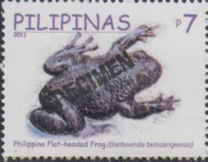 Stamp: Philippine Flat-headed Frog (Barbourula busuangensis ...