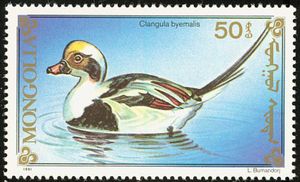Timbre: Long-tailed Duck (Clangula hyemalis) (Mongolie(Birds 1991) Mi ...