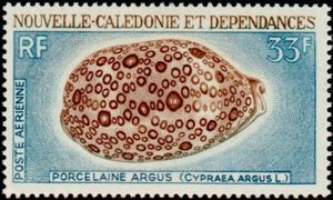 Stamp: Eyed Cowrie (Cypraea argus) (New Caledonia(Shell) Mi:NC 488,Sn ...