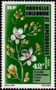 Stamp: Eriaxis rigida (New Caledonia) (Orchids) Mi:NC 565,Sn:NC C125,Yt ...