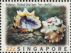 Stamp: Purple Drupe (Drupa morum) (Singapore(Singapore-Thailand Joint ...