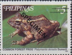 Stamp: Common Forest Frog (Platymantis dorsalis) (Philippines(Endemic ...