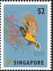 Stamp: Yellow-Bellied Sunbird (Leptocoma jugularis) (Singapore ...