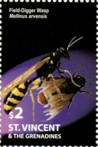 Stamp: Field-Digger Wasp (Saint Vincent and The Grenadines(Insects and ...