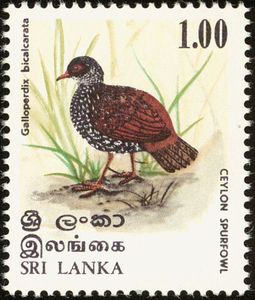 Stamp: Sri Lanka Spurfowl (Galloperdix bicalcarata) (Sri Lanka(Birds ...