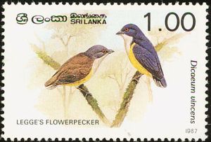 Stamp: Legge's Flowerpecker (Dicaeum vincens) (Sri Lanka(Birds 1987) Mi ...