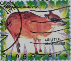 Stamp: Greater Mousedeer (Singapore(25th Anniversary of Singapore Zoo ...