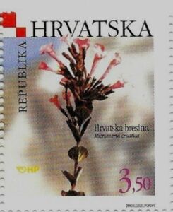Stamp: Micromeria croatica (Croatia(Croatian Flora (V)) Mi:HR 548,Sn:HR ...