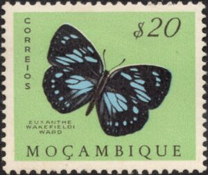 邮票: Forest Queen (Euxanthe wakefieldi) (莫桑比克(Butterflies (1953)) Mi:MZ ...