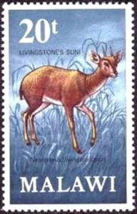 Stamp: Suni (Neotragus moschatus) (Malawi) (Antelopes) Mi:MW 155,Sn:MW ...