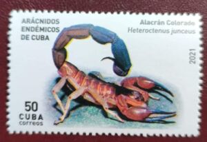Stamp: Red Scorpion (Heteroctenus junceus) (Cuba(Insects of Cuba (2021 ...