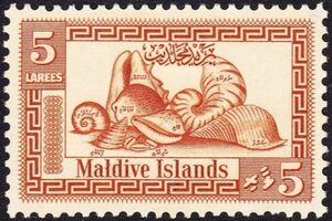 Stamp: Cowry Shells (Maldives(Places of Interest) Mi:MV 52,Sn:MV 60,Yt ...