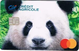 Bank Card: Panda (Credit Agricole Bank Polska, PolandCol:PL-MC-0656.01
