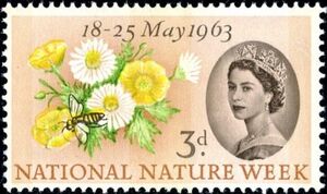 Stamp: Buttercup, Common Daisy, Honey Bee (Apis sp.) - Phosphor (United ...