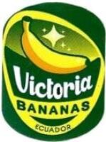 Fruit Sticker: Victoria Bananas (EcuadorCol:EC-FR-01938