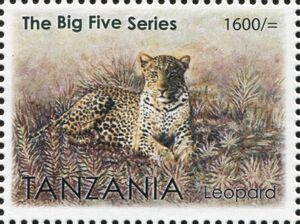 Stamp: Leopard (Panthera pardus) (Tanzania(The Big Five (2013)) Mi:TZ ...