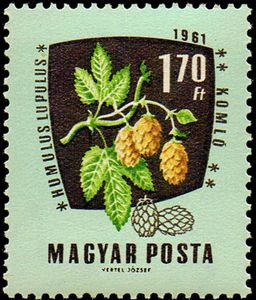Stamp: Common Hop (Humulus lupulus) (Hungary(Flowers (1961)) Mi:HU ...