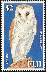 Stamp: Barn Owl (Tyto alba "lulu") (Fiji(Owls) Mi:FJ 1147,Sn:FJ 1079,Yt ...