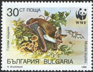 Stamp: Greater Myotis (Myotis myotis) (Bulgaria(WWF Bats) Mi:BG 3743,Sn ...