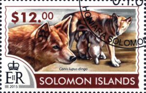 Stamp: Canis lupus dingo (Solomon Islands(Dingo (2015)) Mi:SB 3170,Yt ...