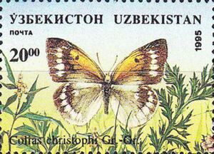 Stamp: Pieridae Butterfly (Colias christophi) (Uzbekistan(Butterflies ...
