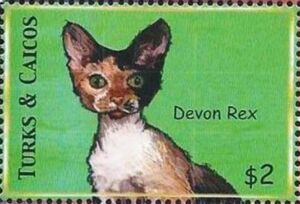 Stamp: Devon Rex (Turks and Caicos Islands(Cats (2000)) Mi:TC 1536